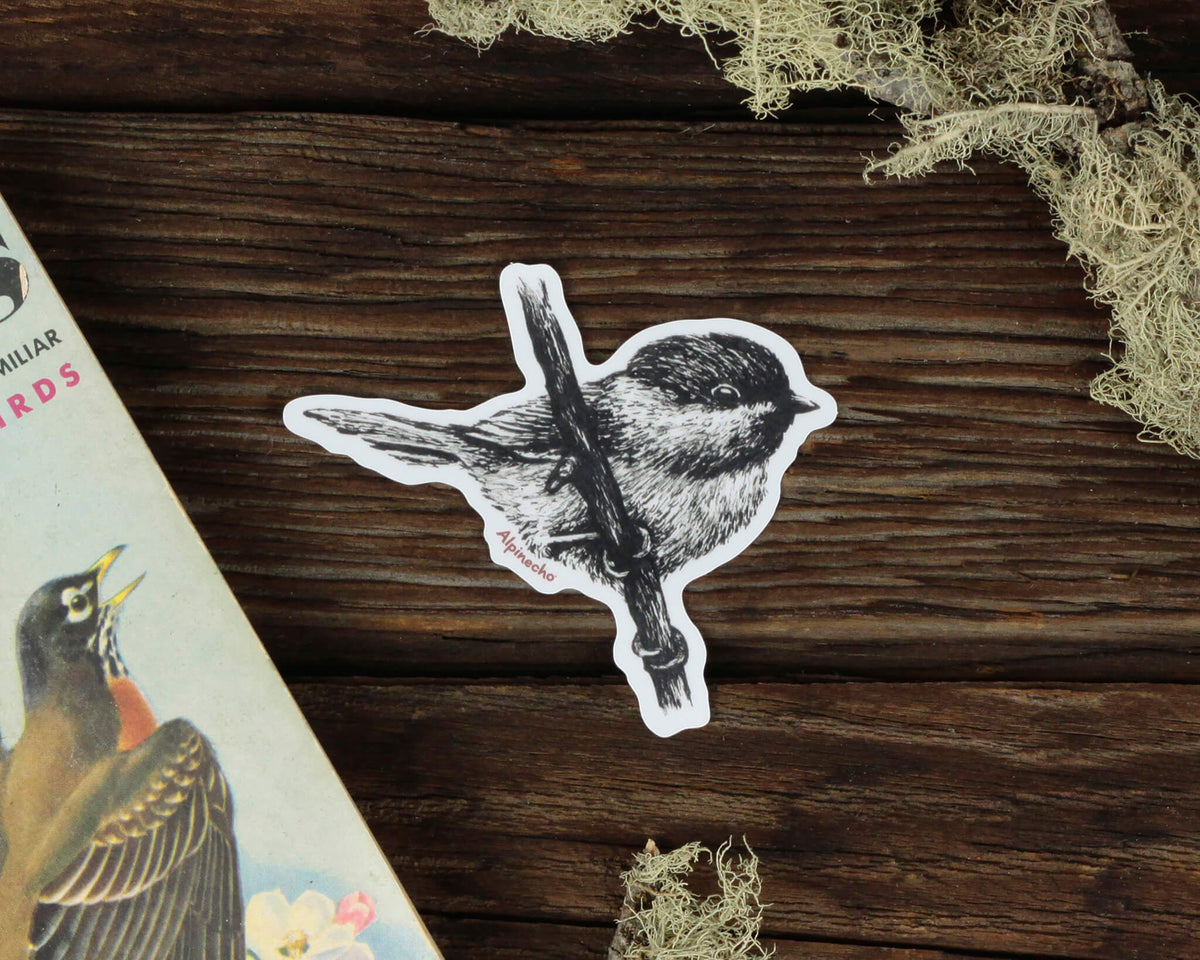 Chickadee Sticker – Alpinecho